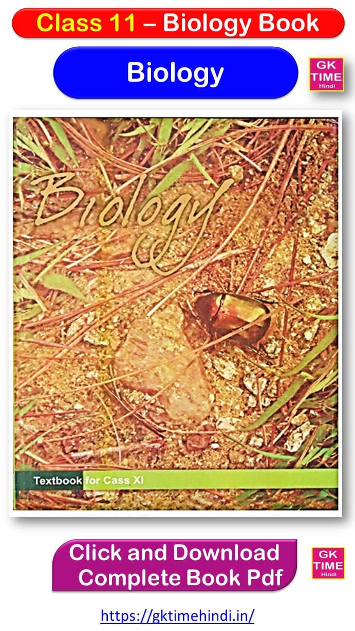Class 11 NCERT All Subject Complete Book Pdf Download – GK Time Hindi